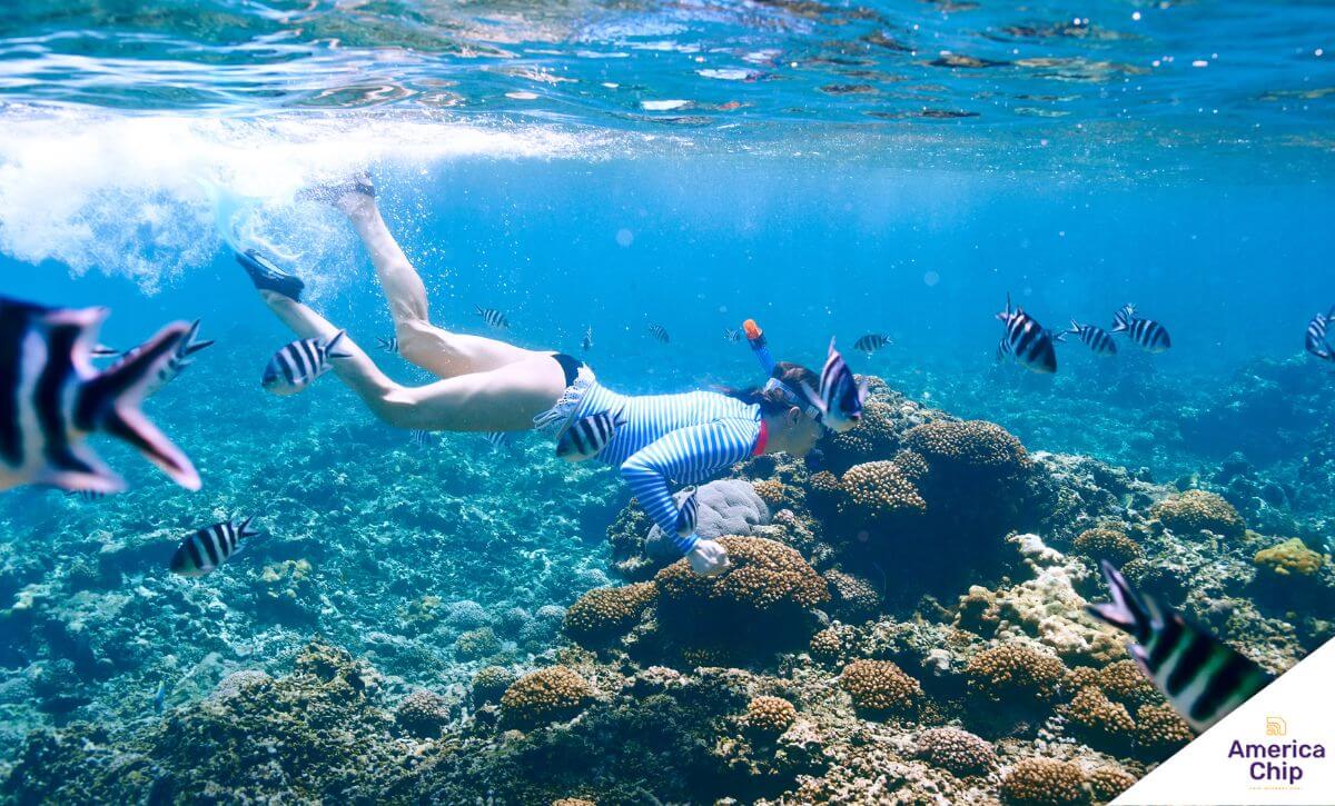 Guia de Snorkeling: Destinos, Técnicas e Benefícios
